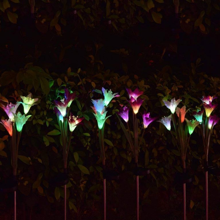 LED Light up garden flowers - Solar Powered garden flower Lights ...